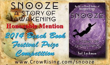 Summer Reading: SNOOZE Recognized in Beach Book Festival Prize ...