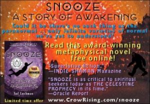 SNOOZE: A STORY OF AWAKENING—Enjoy This Multi-award-winning Visionary ...
